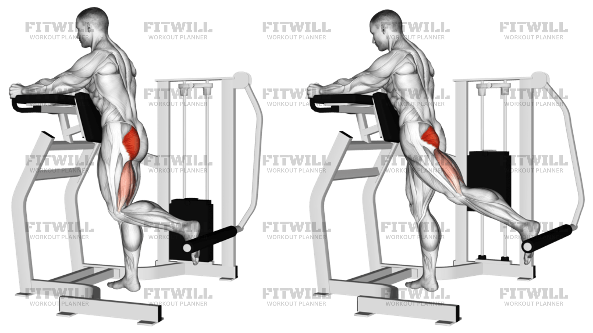 Lever Standing Hip Extension: Exercise Guide, Video, Techniques ...