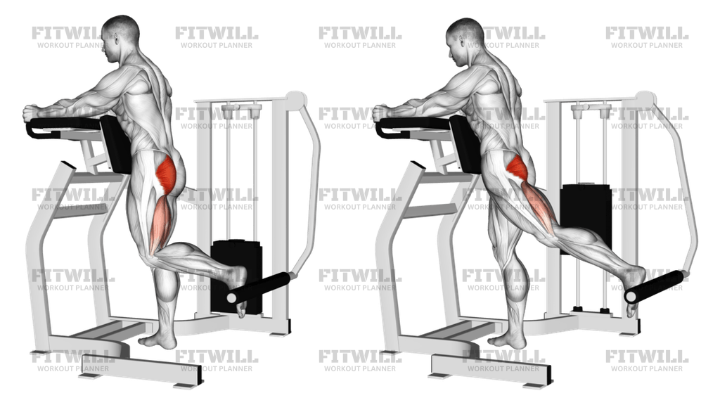 Lever Standing Hip Extension: Exercise Guide, Video, Techniques ...