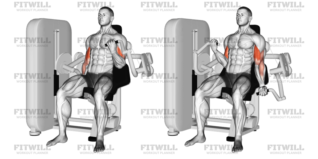 Lever Alternate Biceps Curl: Exercise Guide, Video, Techniques ...