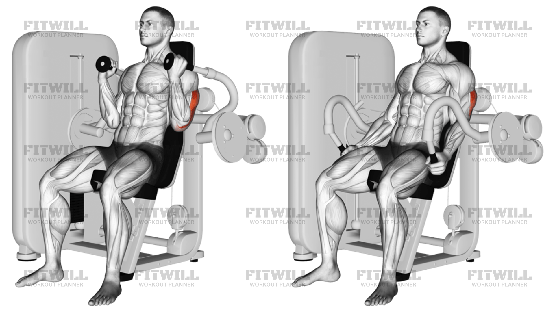 Lever Triceps Extension: Exercise Guide, Video, Techniques, Benefits ...