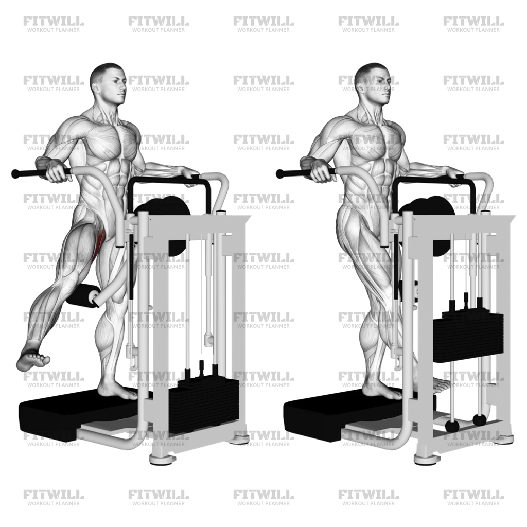 Lever Side Hip Adduction: Exercise Guide, Techniques, Benefits, How to ...