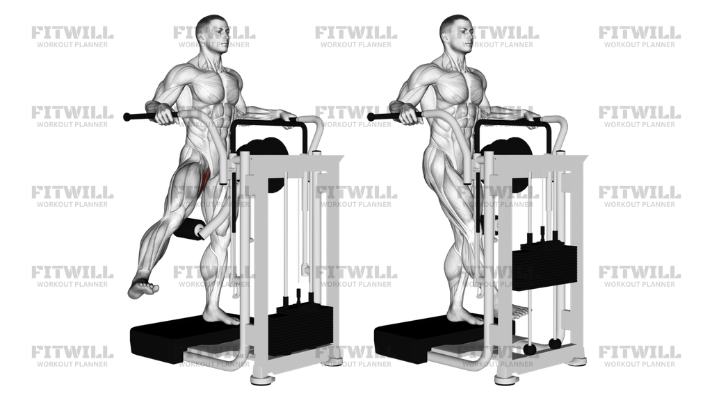 Lever Side Hip Adduction: Exercise Guide, Techniques, Benefits, How to ...