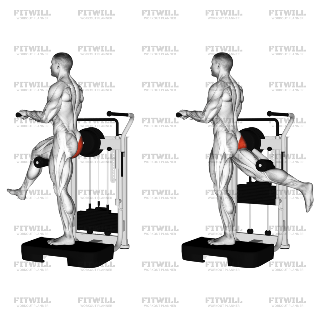 Lever Standing Rear Kick: Exercise Guide, Video, Techniques, Benefits ...