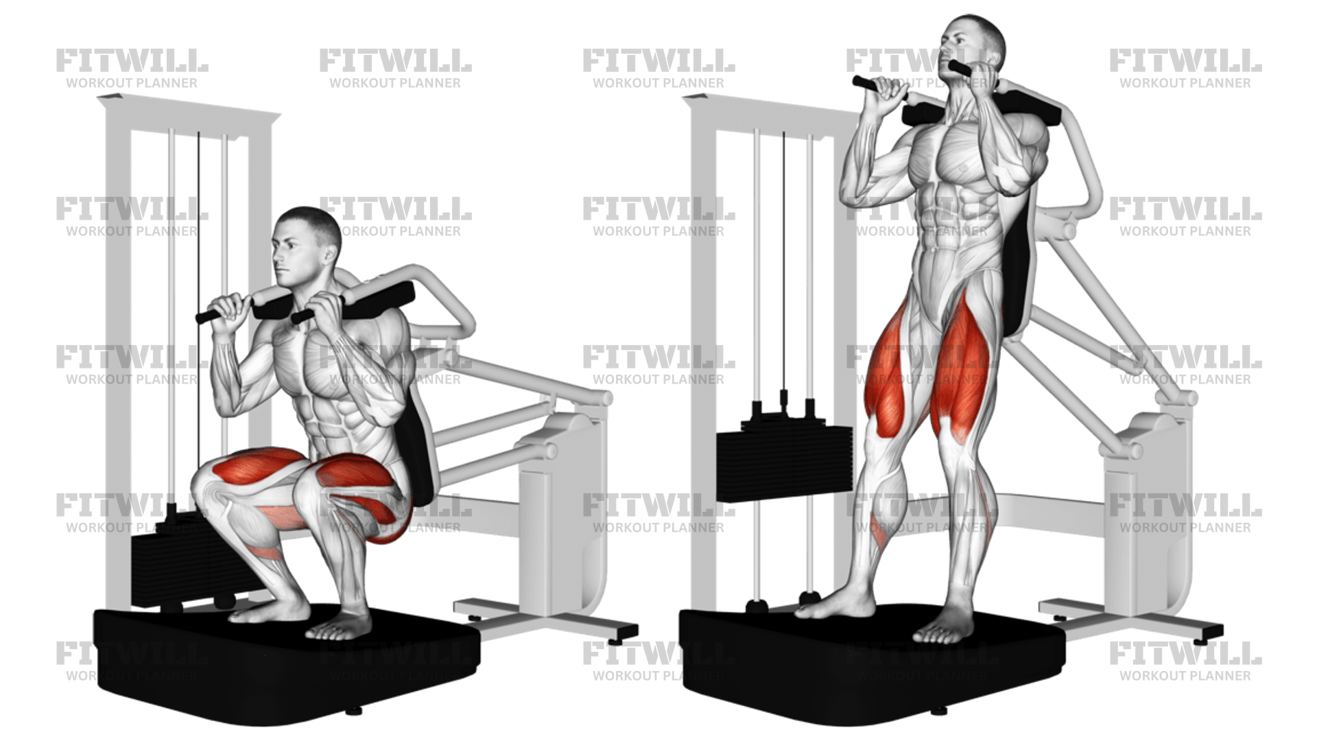 Squat Complet Assisté : Guide d'exercice, techniques, avantages ...