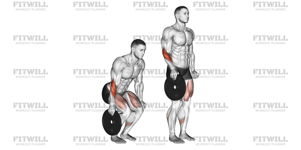 Plate Pinch: Exercise Guide, Video, Techniques, Benefits, How to ...