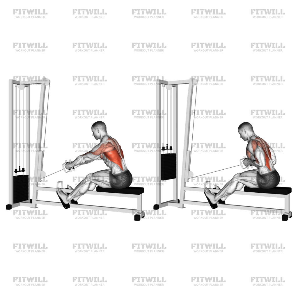 Cable Elevated Row: Exercise Guide, Video, Techniques, Benefits, How to ...