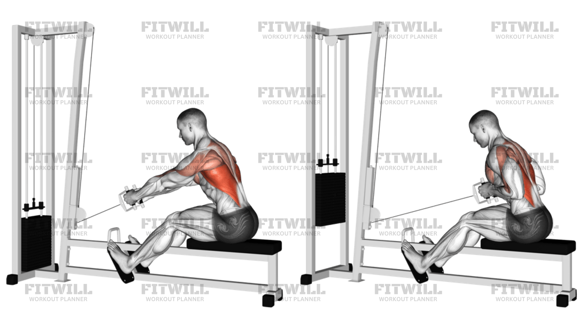 Cable Elevated Row: Exercise Guide, Video, Techniques, Benefits, How to ...