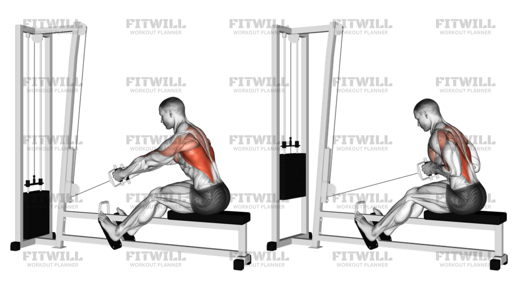 Cable Elevated Row: Exercise Guide, Video, Techniques, Benefits, How to ...