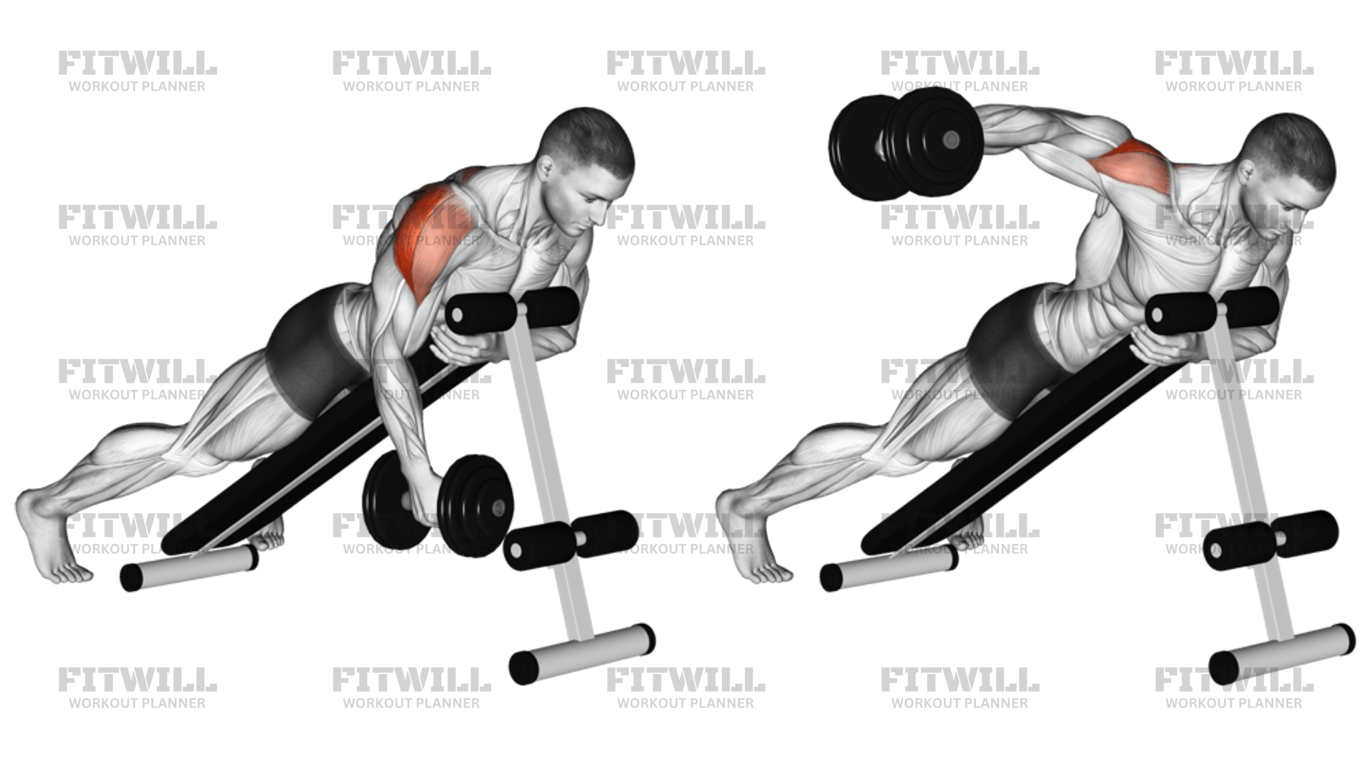 Dumbbell Lying One-Arm Rear Lateral Raise: Exercise Guide, Techniques ...