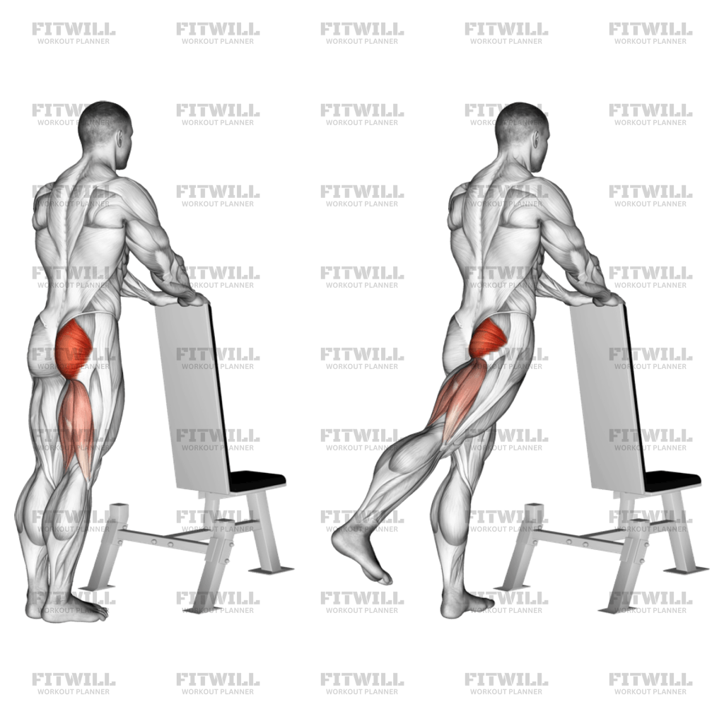 One Leg Kickback With Bench Support: Exercise Guide, Techniques ...