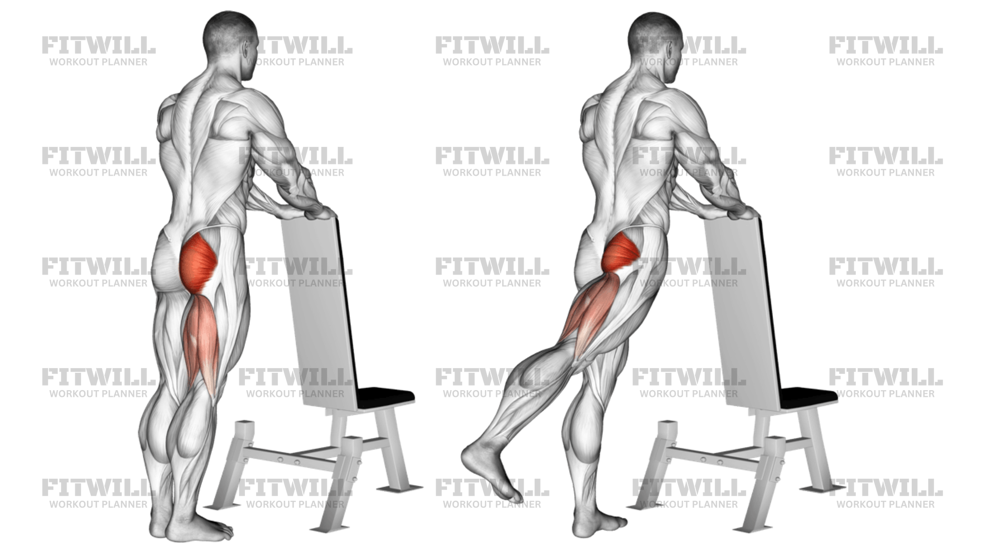 One Leg Kickback (with Bench Support): Exercise Guide, Techniques ...