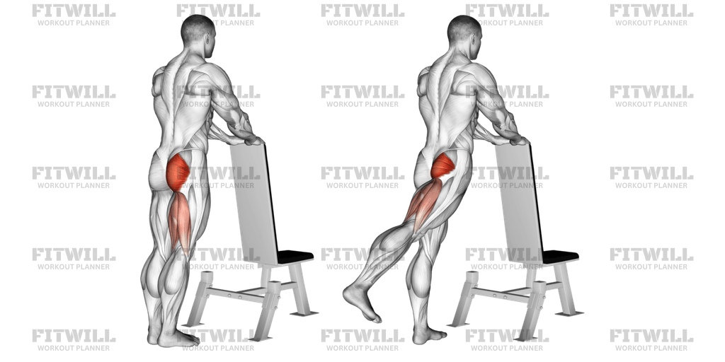 One Leg Kickback (with Bench Support): Exercise Guide, Techniques ...