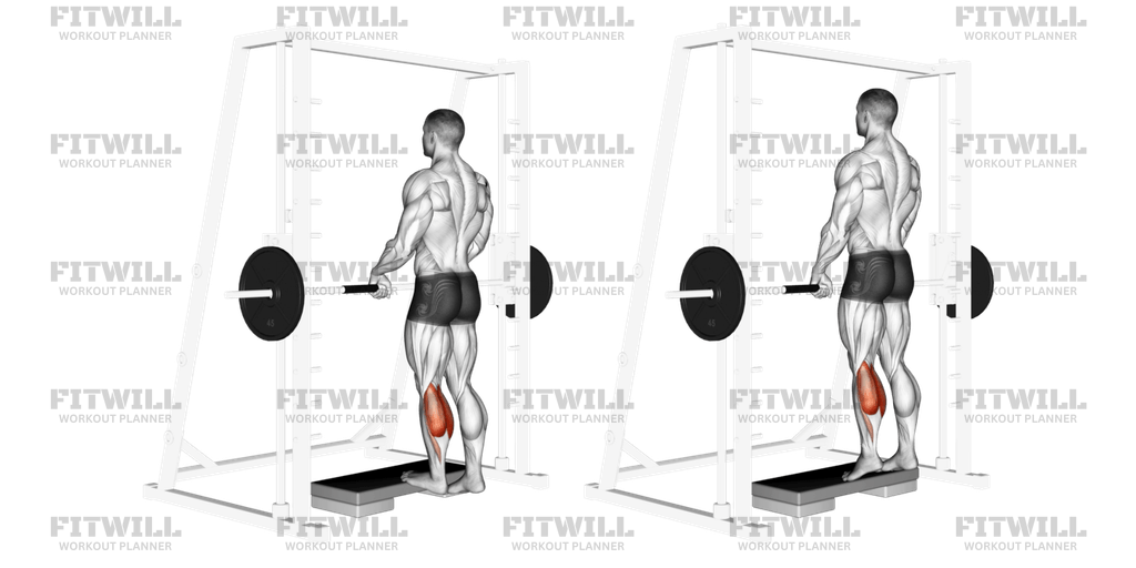 Smith Calf Raise (with Block): Exercise Guide, Techniques, Benefits ...