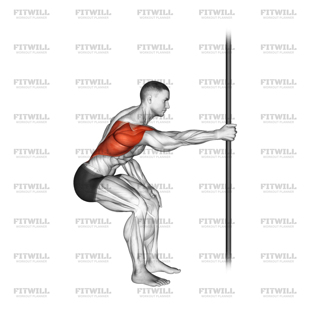 Fixed Bar Back Stretch: Exercise Guide, Video, Techniques, Benefits ...