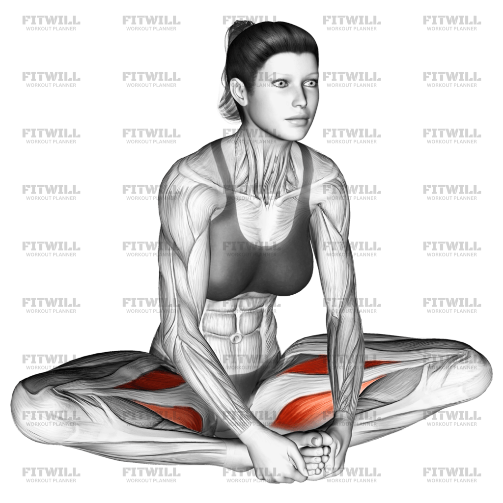 Seated Groin Stretch: Exercise Guide, Techniques, Benefits, How to ...