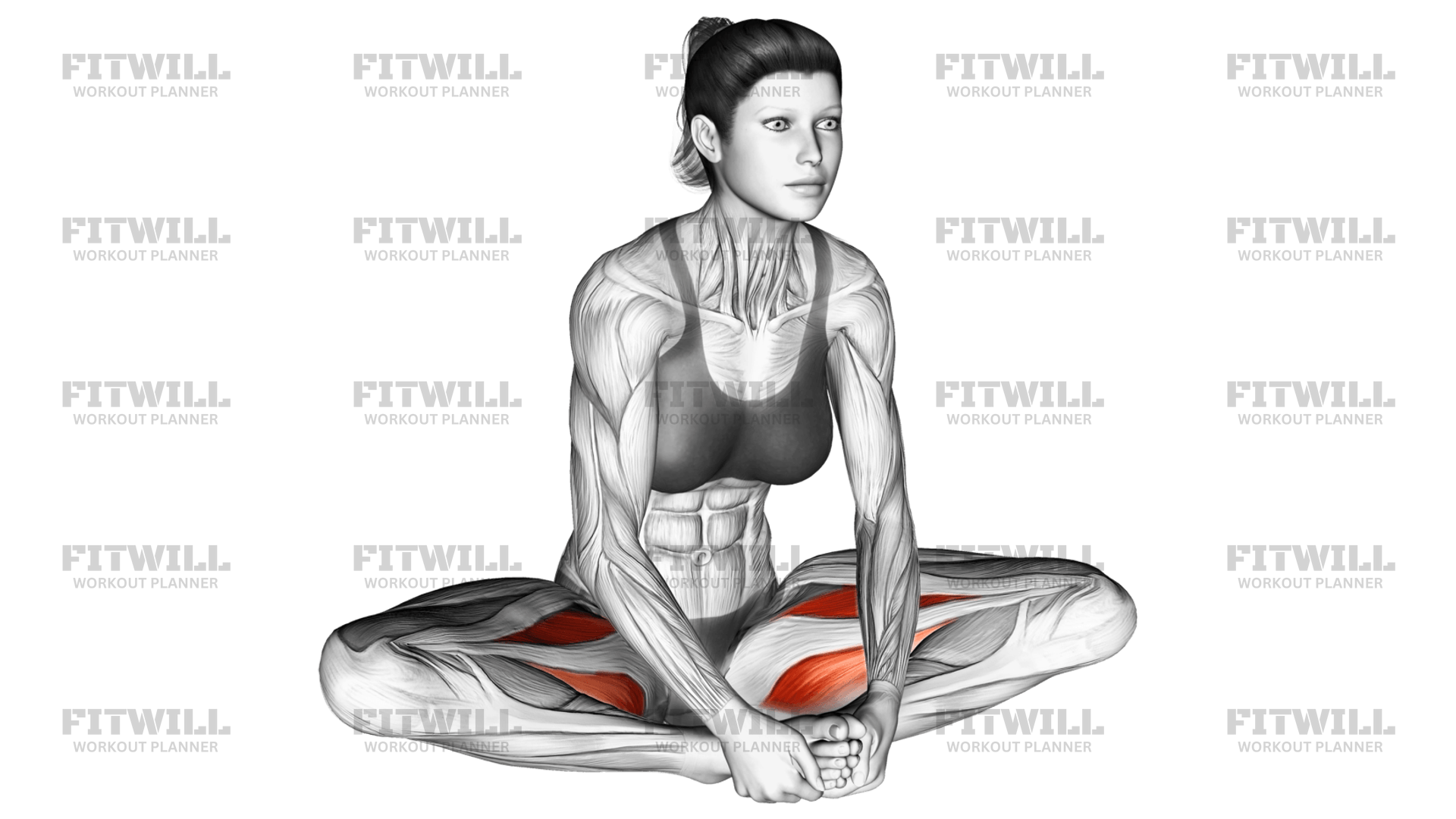 Seated Groin Stretch: Exercise Guide, Techniques, Benefits, How to ...