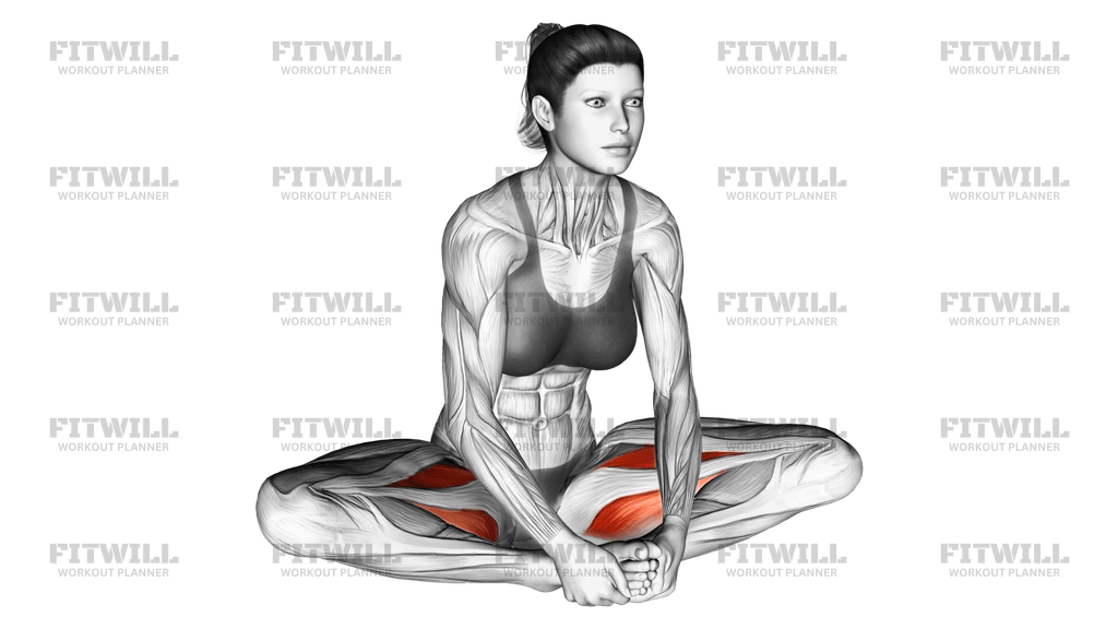 Seated Groin Stretch: Exercise Guide, Techniques, Benefits, How to ...