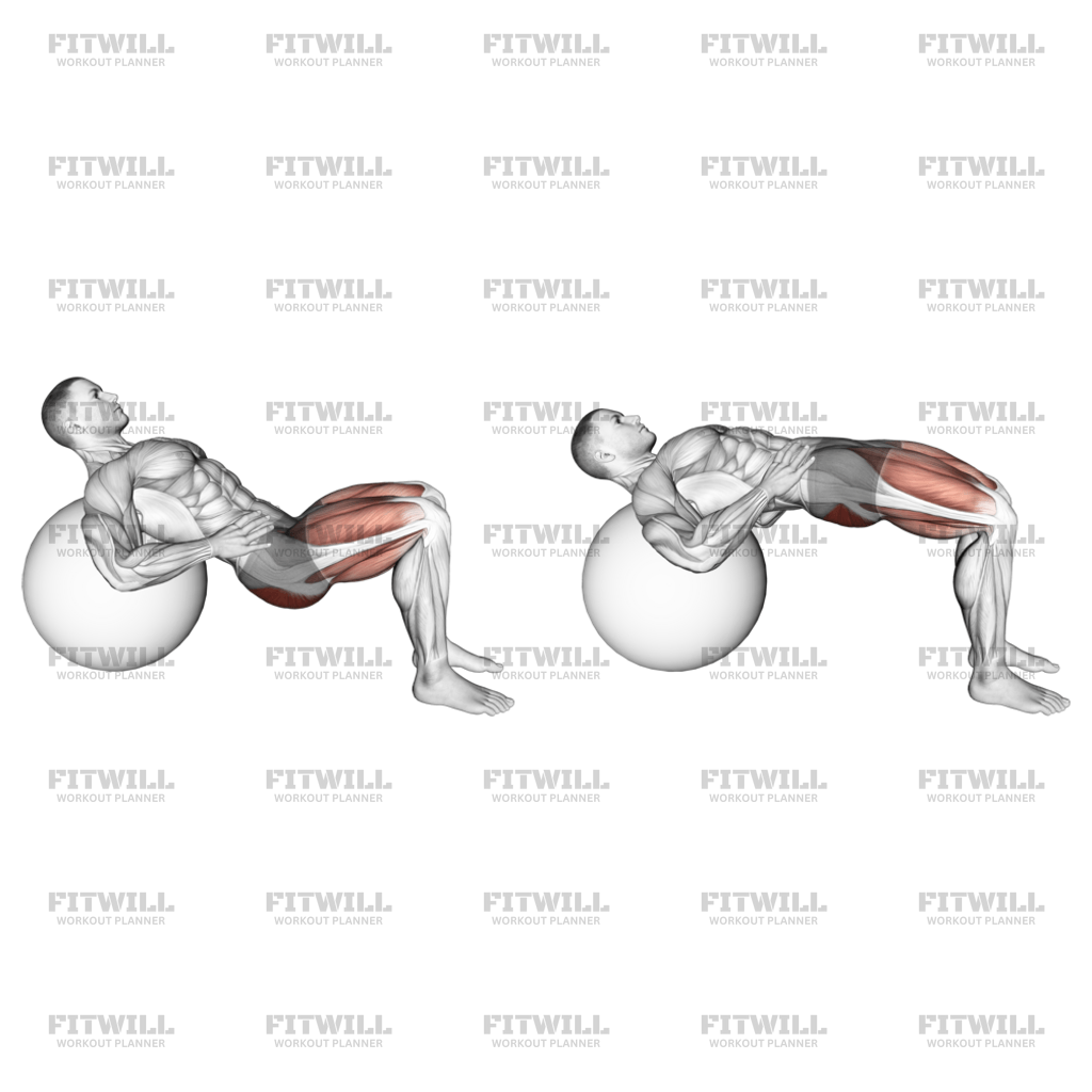 Lying Hip Lift (on Stability Ball) II: Exercise Guide, Video ...
