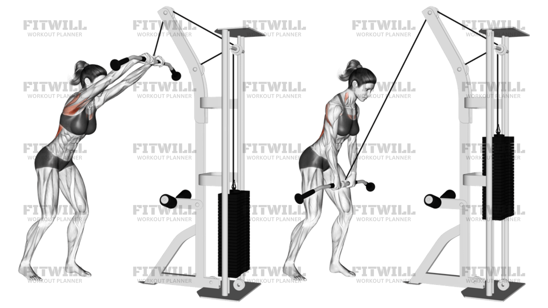 Cable Straight Arm Pulldown Version 2 Exercise Guide Video