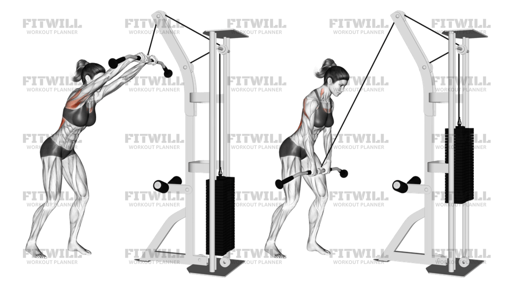 Cable Straight Arm Pulldown (version 2): Exercise Guide, Video ...