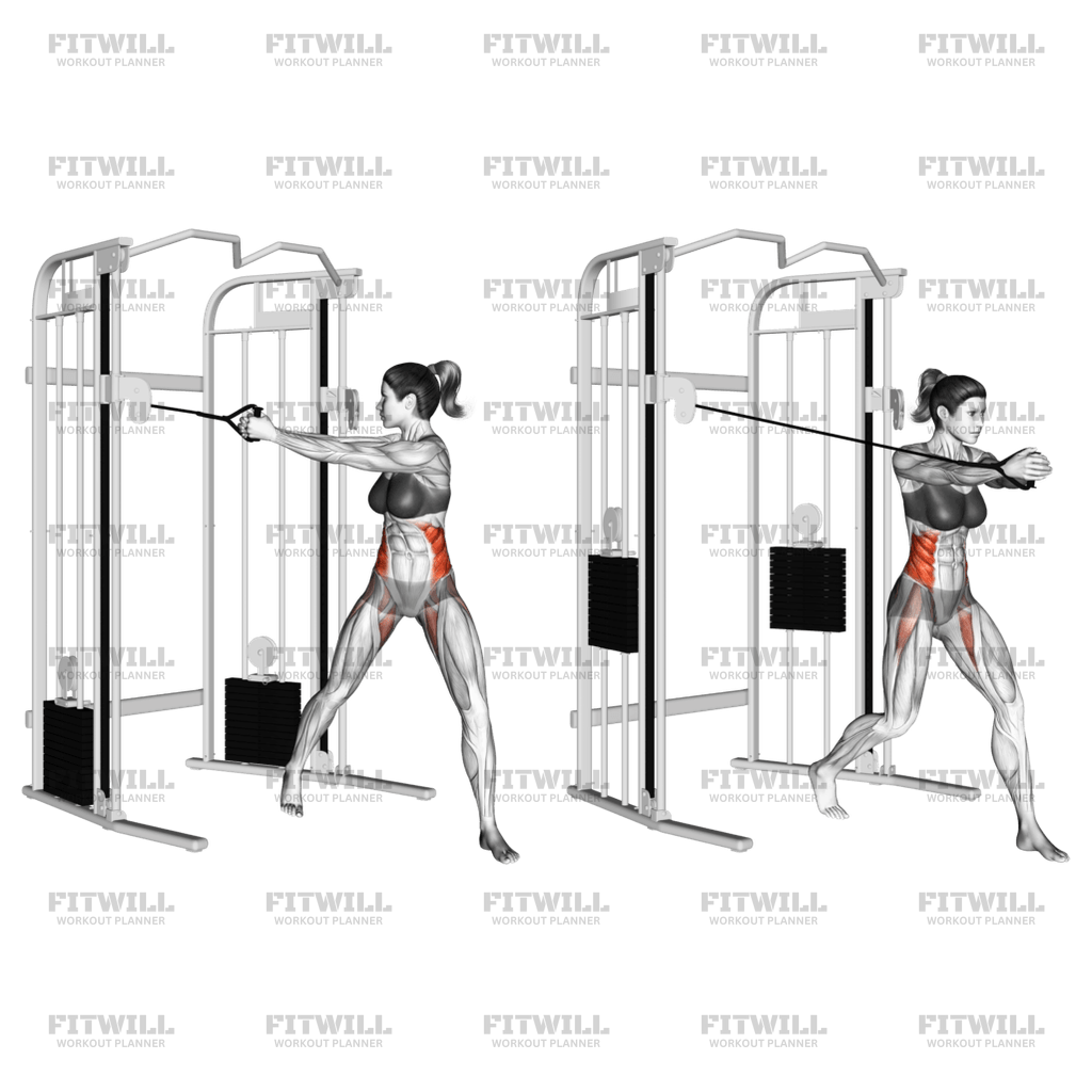 Cable Twist Version 2: Exercise Guide, Techniques, Benefits, How to ...