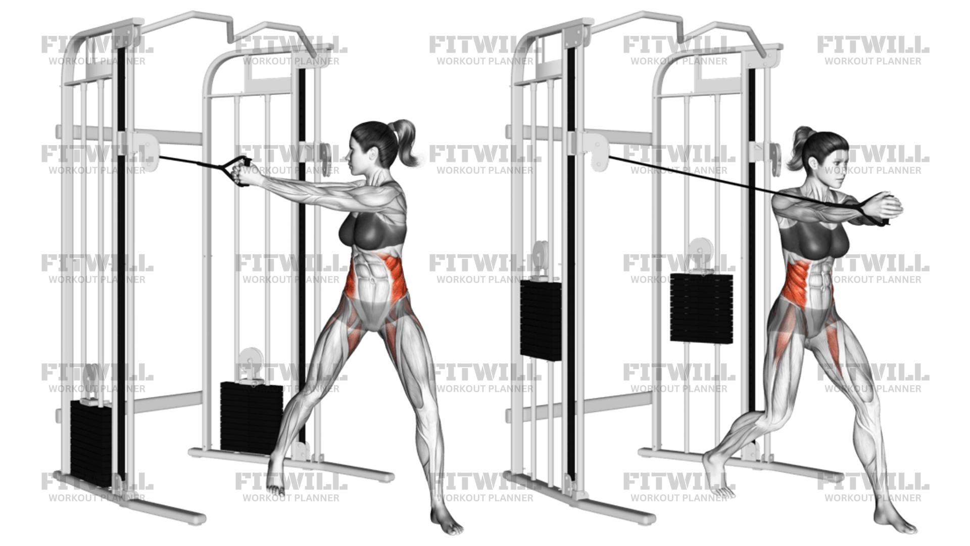 Cable Twist (version 2): Exercise Guide, Techniques, Benefits, How to ...