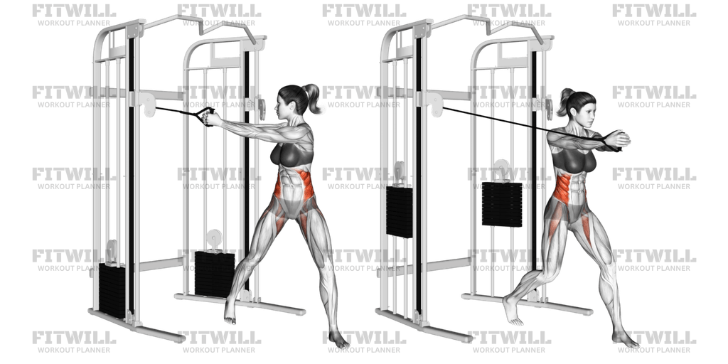 Cable Twist Version 2: Exercise Guide, Techniques, Benefits, How to ...