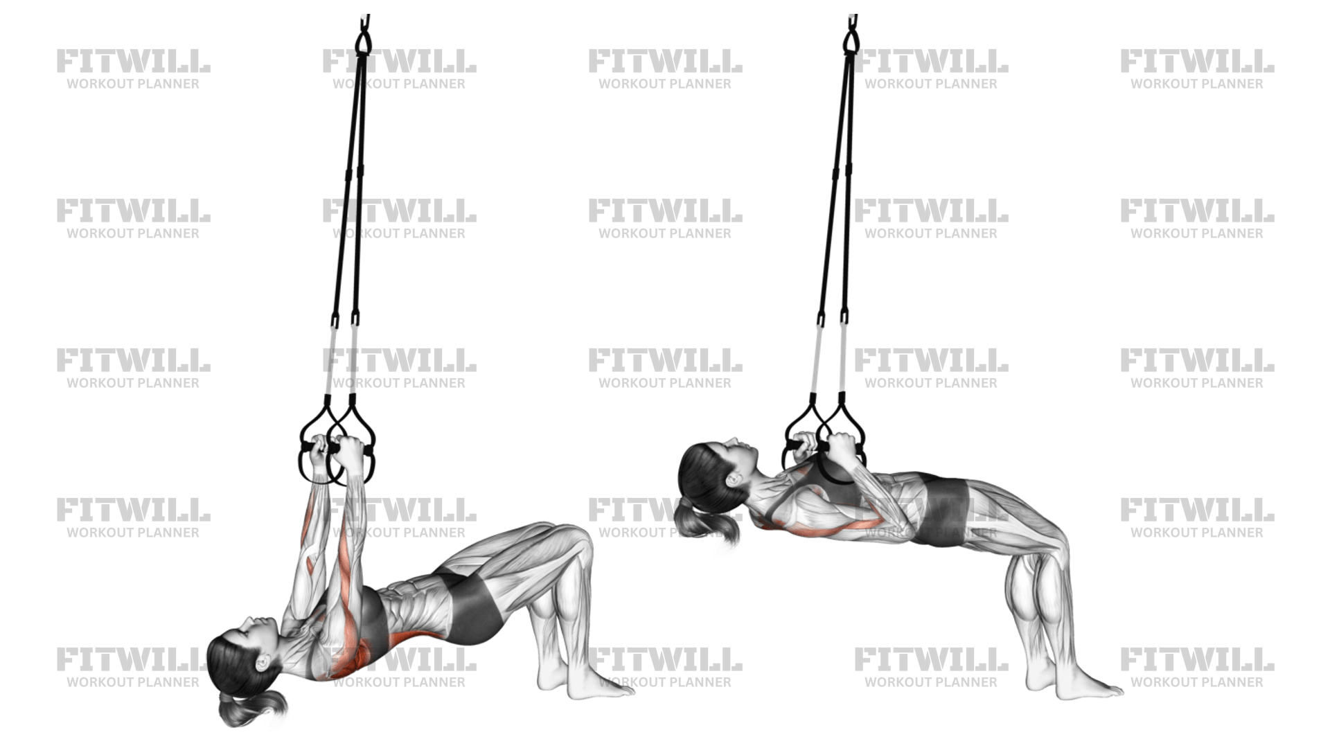 Remo Invertido Con Rodillas Flexionadas En Suspensión: Video de ...