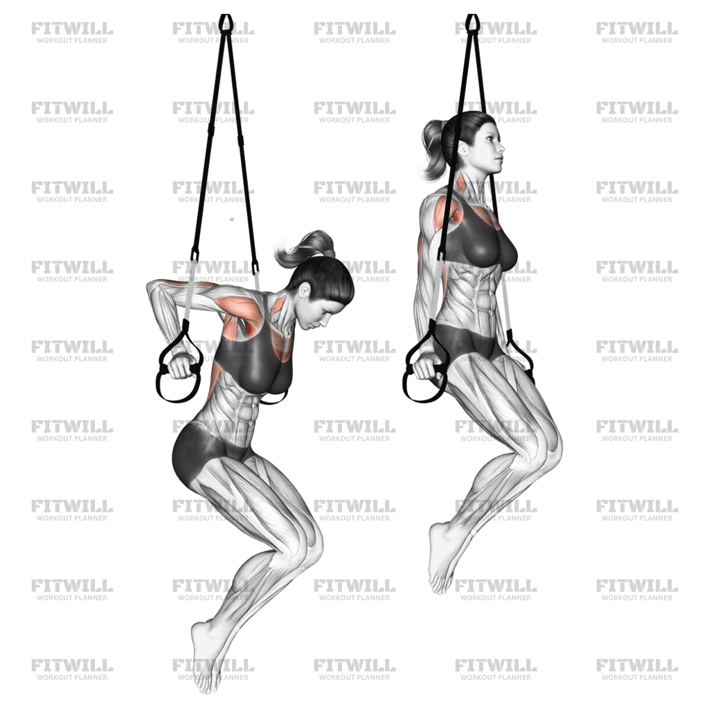 Suspension Chest Dip: Exercise Guide, Video, Techniques, Benefits, How ...