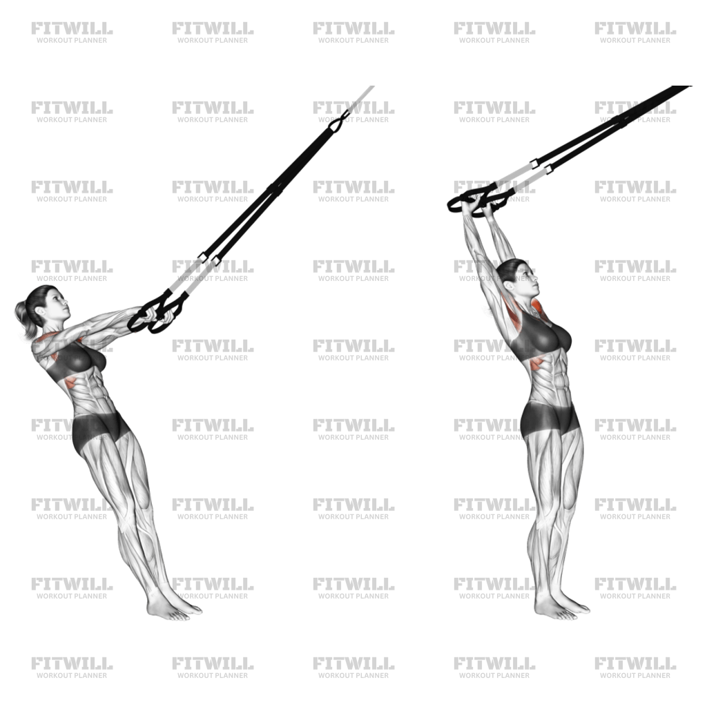Suspension Front Raise: Exercise Video | Fitwill
