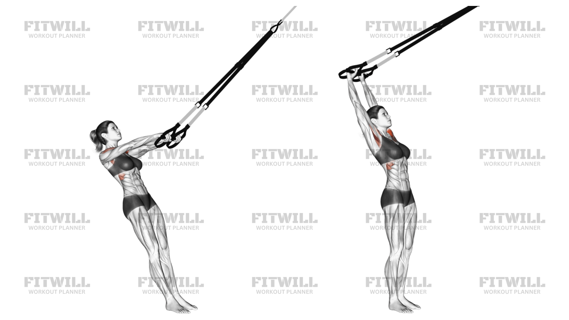 Suspension Front Raise: Exercise Video | Fitwill