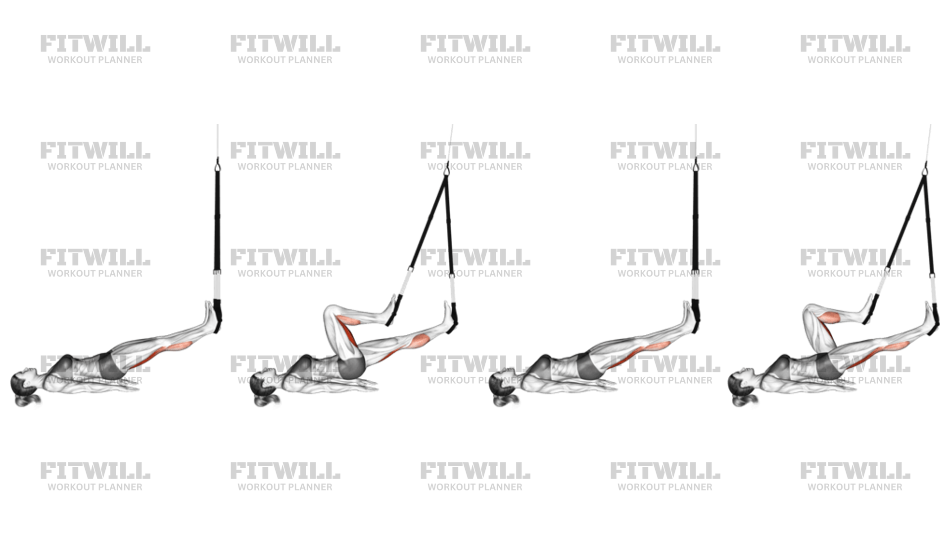 Suspension Hamstring Runner: Exercise Guide, Video, Techniques ...
