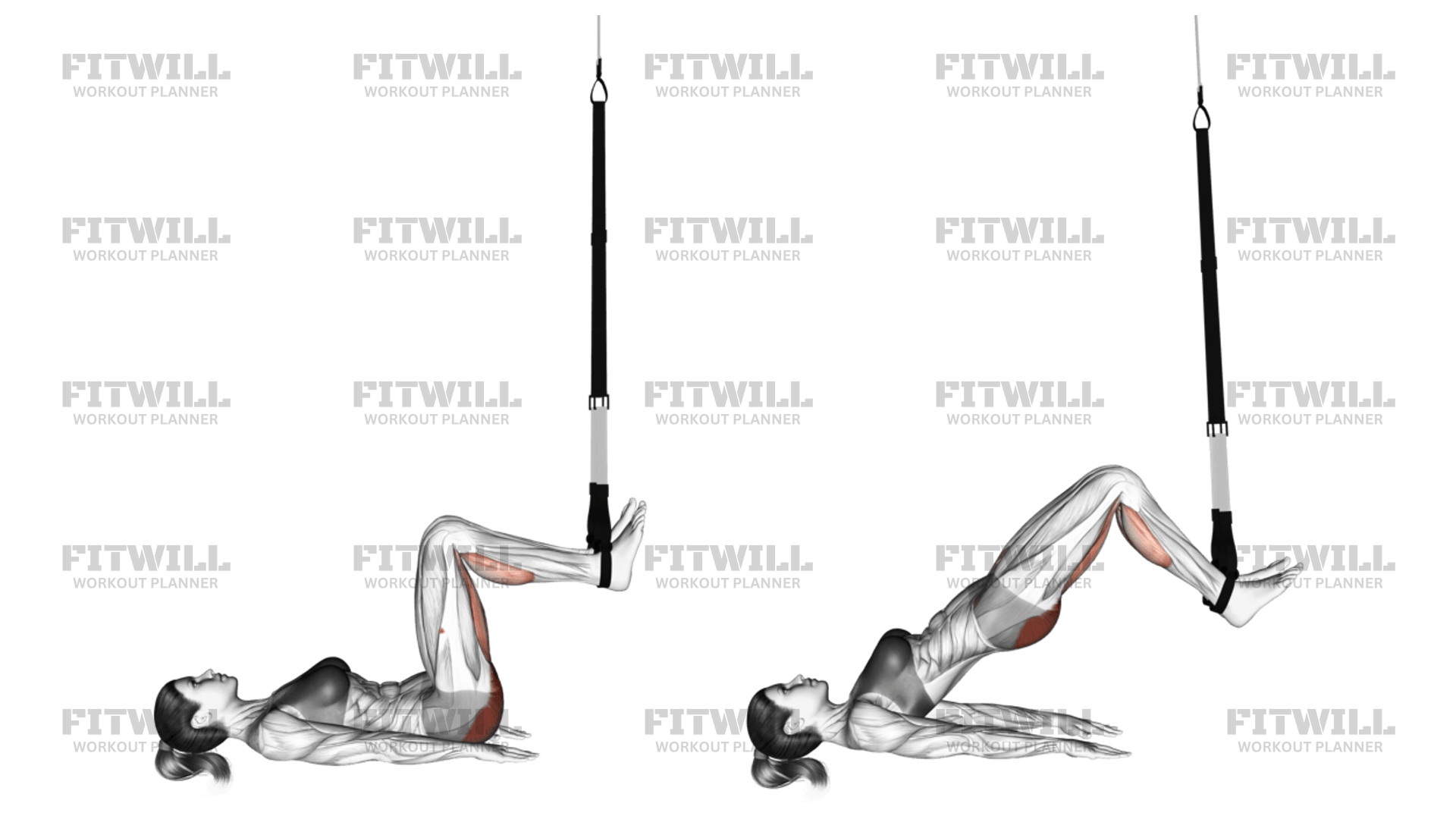Suspension Hip Bridge: Exercise Guide, Video, Techniques, Benefits, How ...