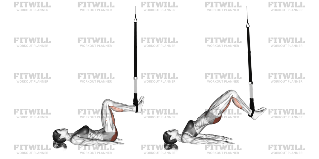 Suspension Hip Bridge: Exercise Guide, Video, Techniques, Benefits, How ...