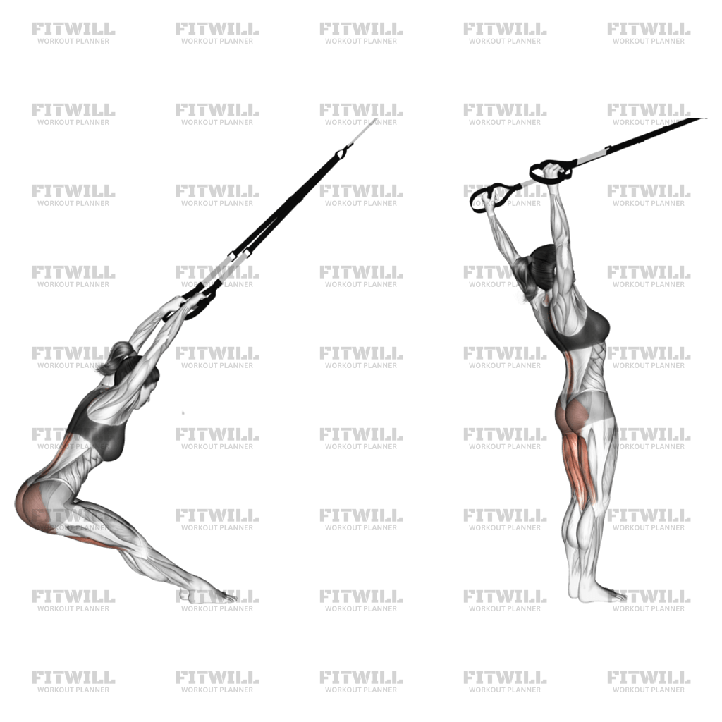 Suspension Hyperextension: Exercise Guide, Techniques, Benefits, How to ...