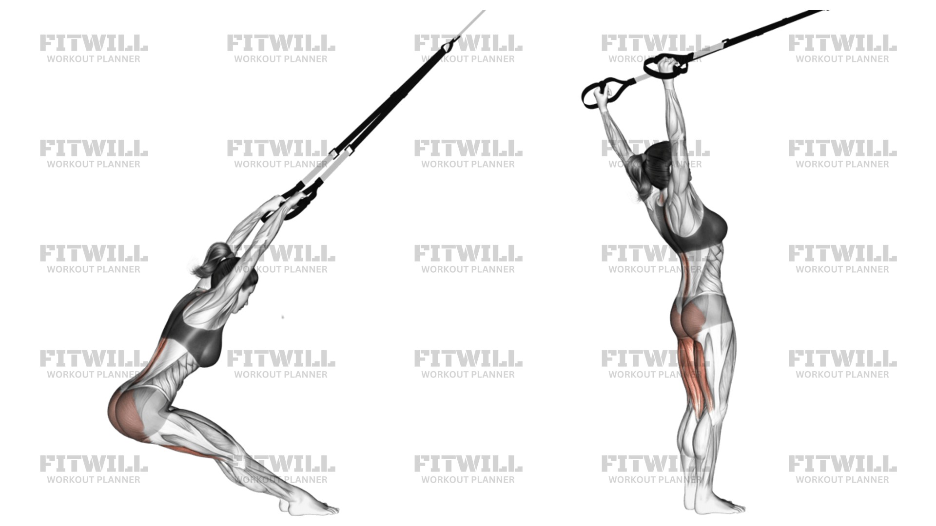 Suspension Hyperextension: Exercise Guide, Techniques, Benefits, How to ...
