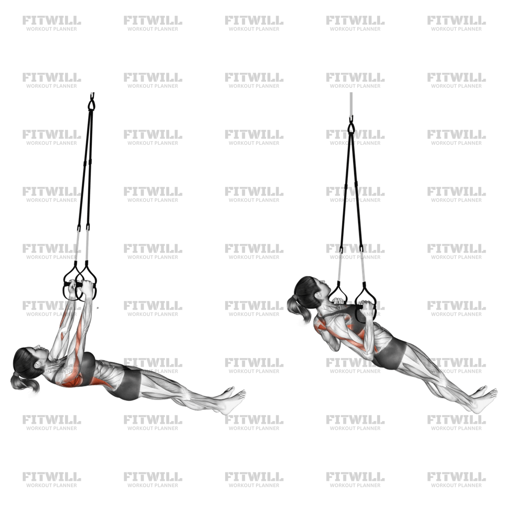 Remo Invertido En Suspensión: Guía de Ejercicios, Video, Técnicas ...