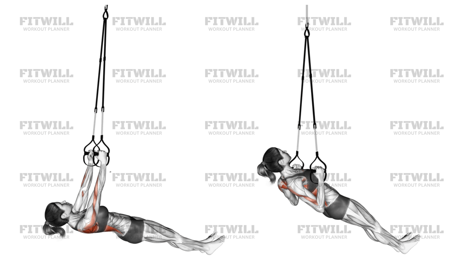 Remo Invertido En Suspensión: Guía de Ejercicios, Video, Técnicas, Beneficios, Cómo Realizarlo ...