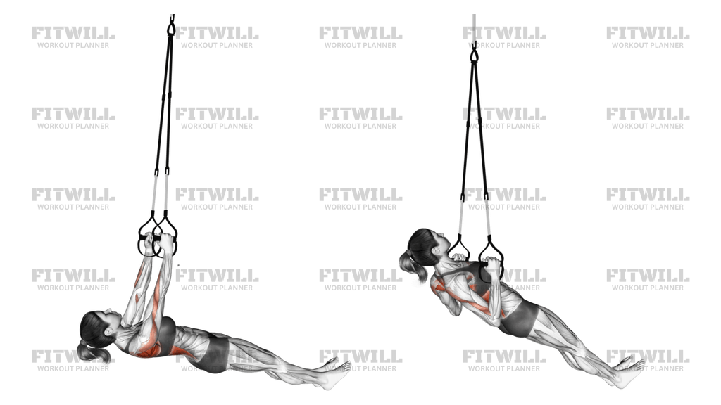 Suspension Inverted Row: Exercise Guide, Video, Techniques, Benefits ...