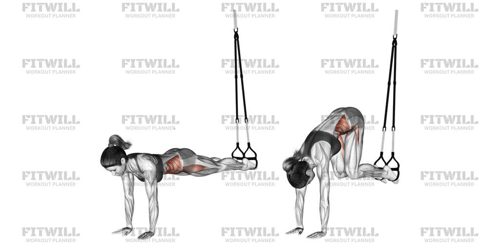 Suspension Jack Knife Pike: Exercise Guide, Video, Techniques, Benefits ...