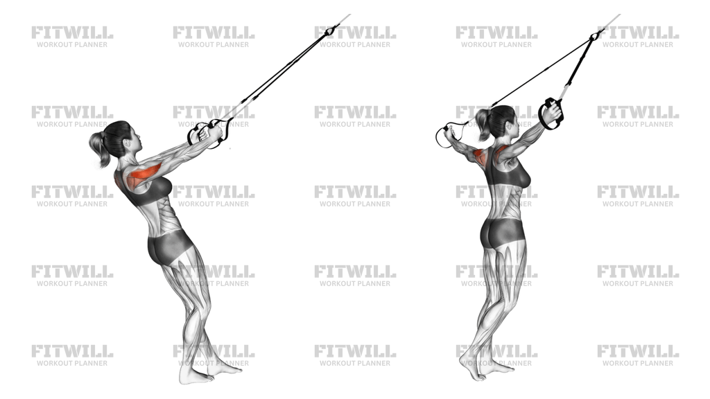 Suspension Reverse Fly: Exercise Guide, Video, Techniques, Benefits ...