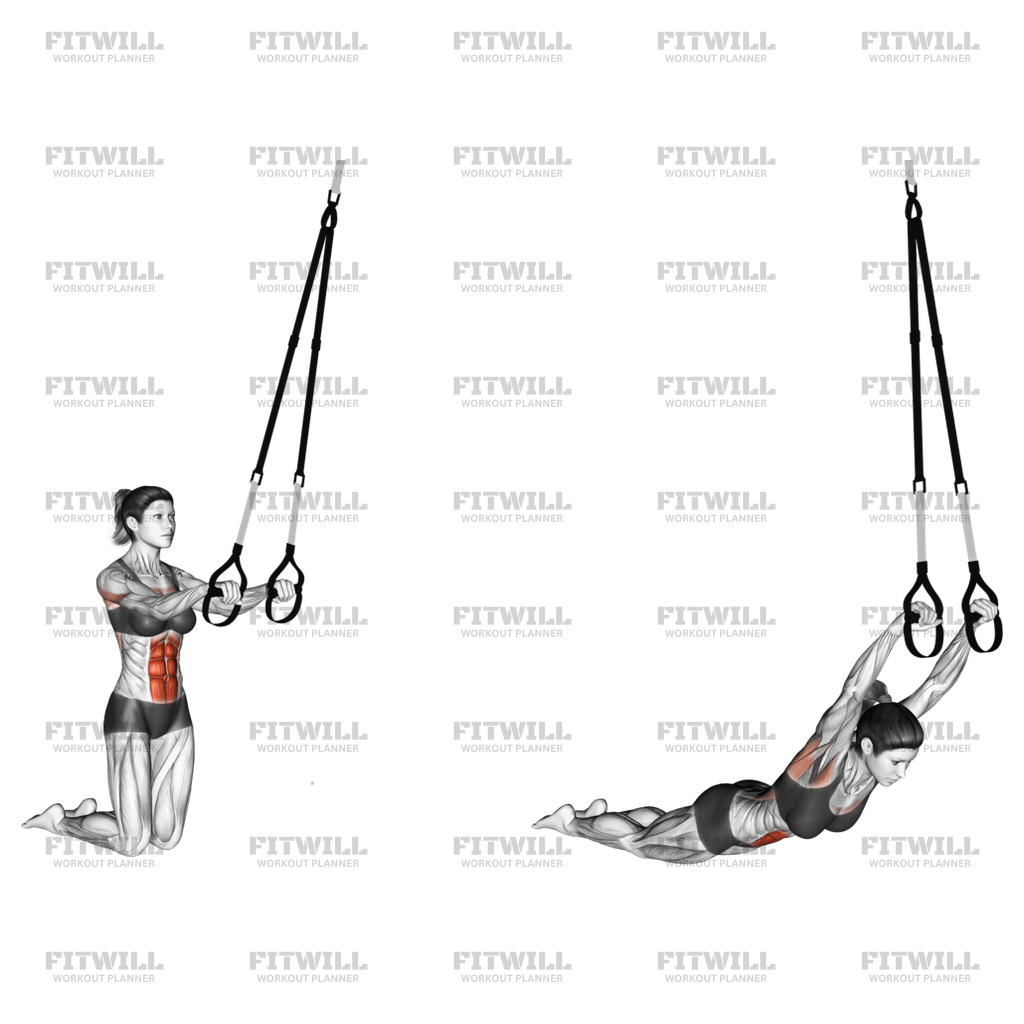 Suspension Rollout: Exercise Guide, Video, Techniques, Benefits, How to ...