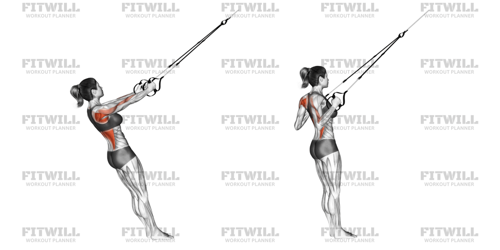 Suspension Row: Exercise Guide, Video, Techniques, Benefits, How to ...