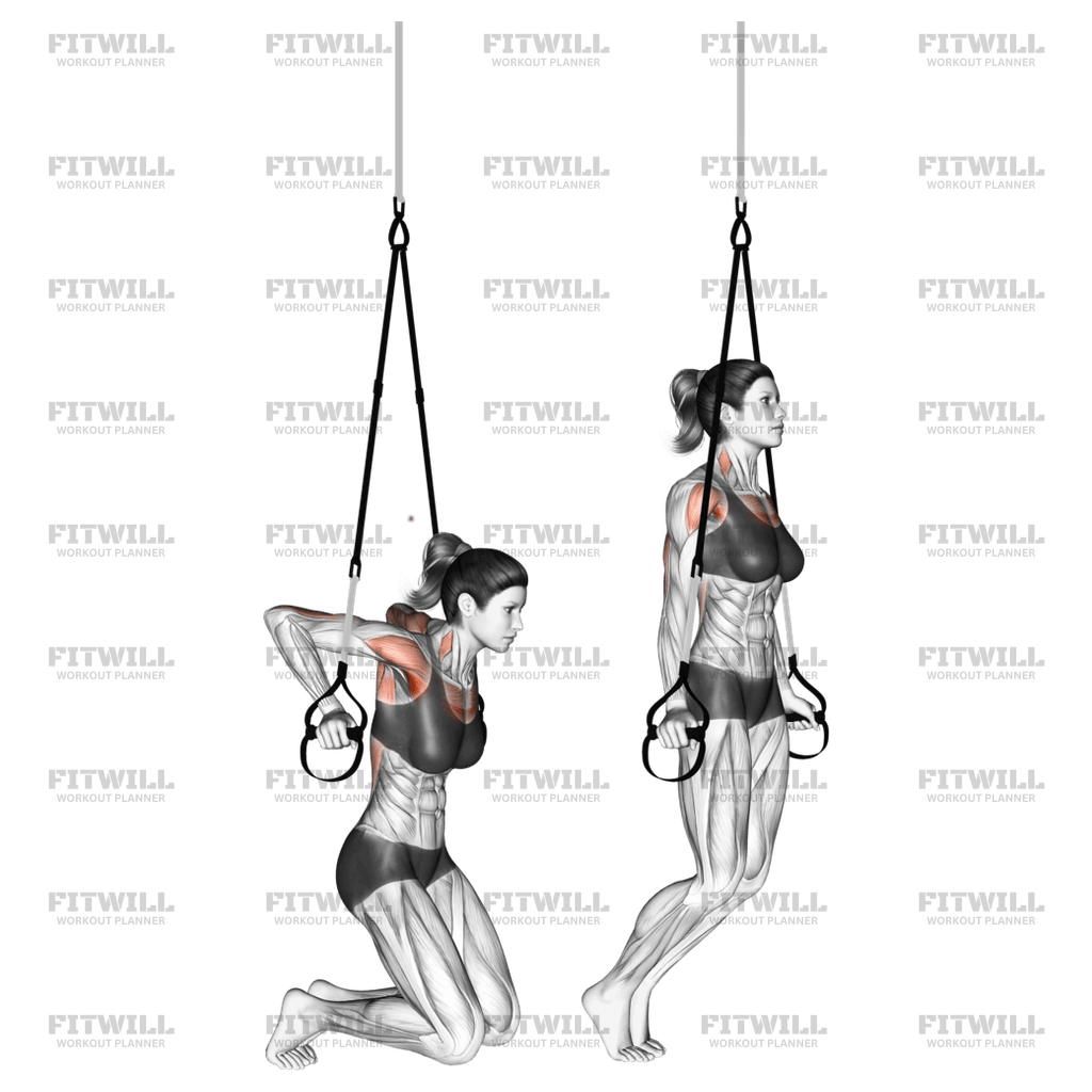 Suspension Self Assisted Chest Dip: Exercise Guide, Video, Techniques ...