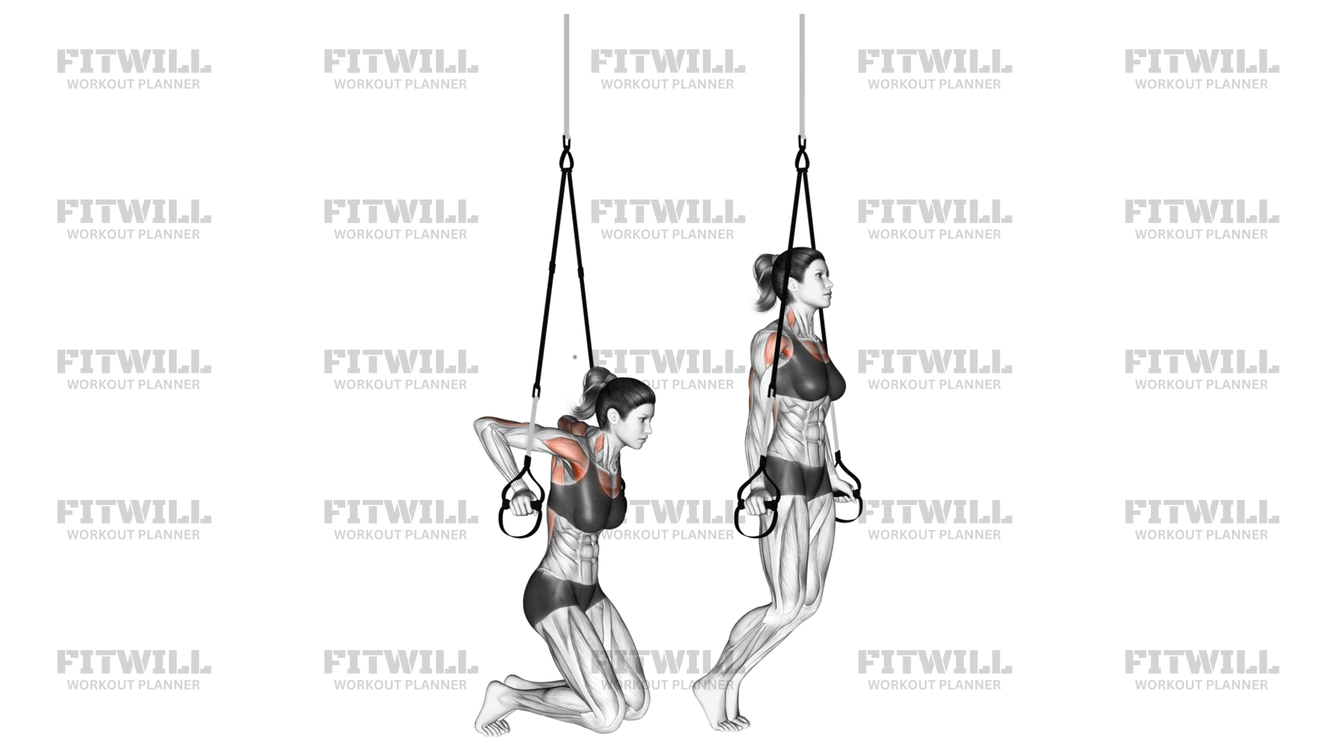 Suspension Self Assisted Chest Dip: Exercise Guide, Video, Techniques ...