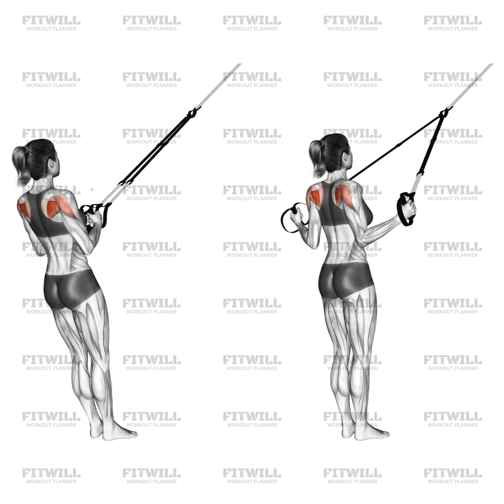 Suspension Shoulder External Rotation: Exercise Guide, Techniques ...