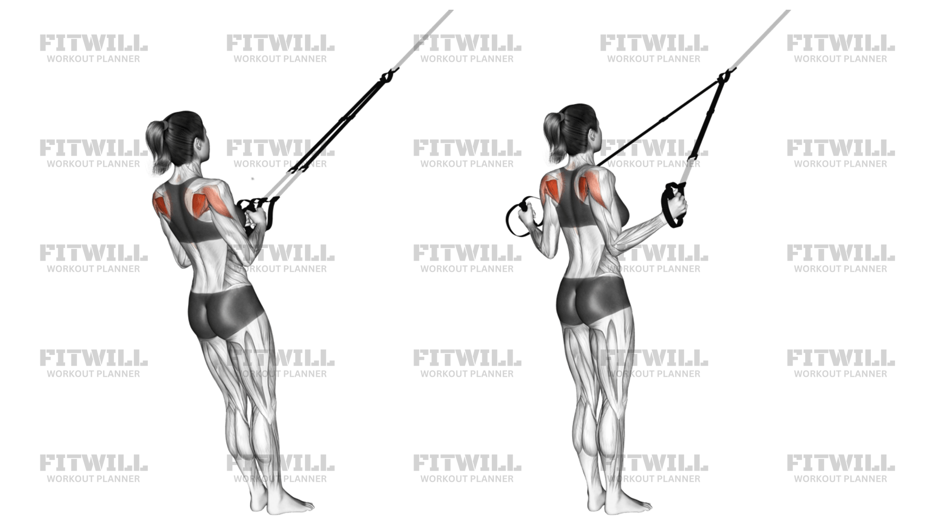 Suspension Shoulder External Rotation: Guide, Techniques, Benefits, How ...