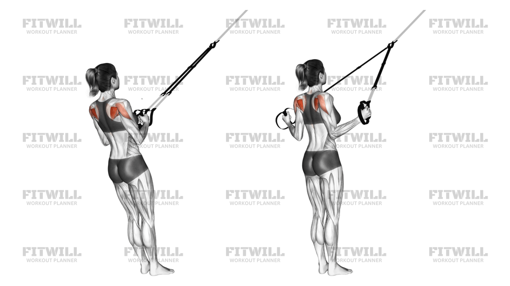 Rotação Externa De Ombro Com Suspensão: Guia de Exercícios, Técnicas ...