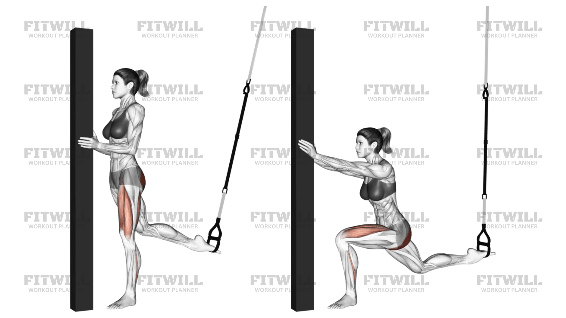 Suspension Single Leg Split Squat (self Assisted): Exercise Guide ...