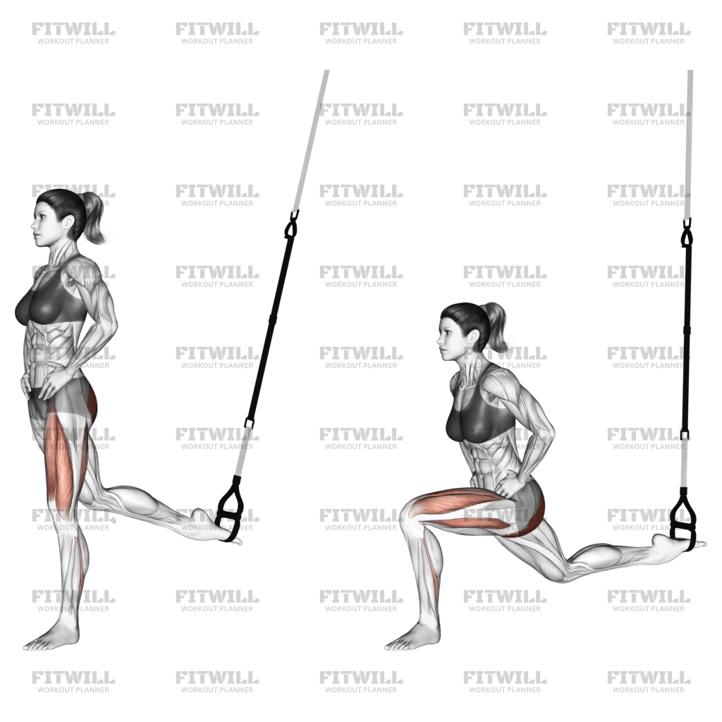 Suspension Single Leg Split Squat: Exercise Guide, Video, Techniques ...